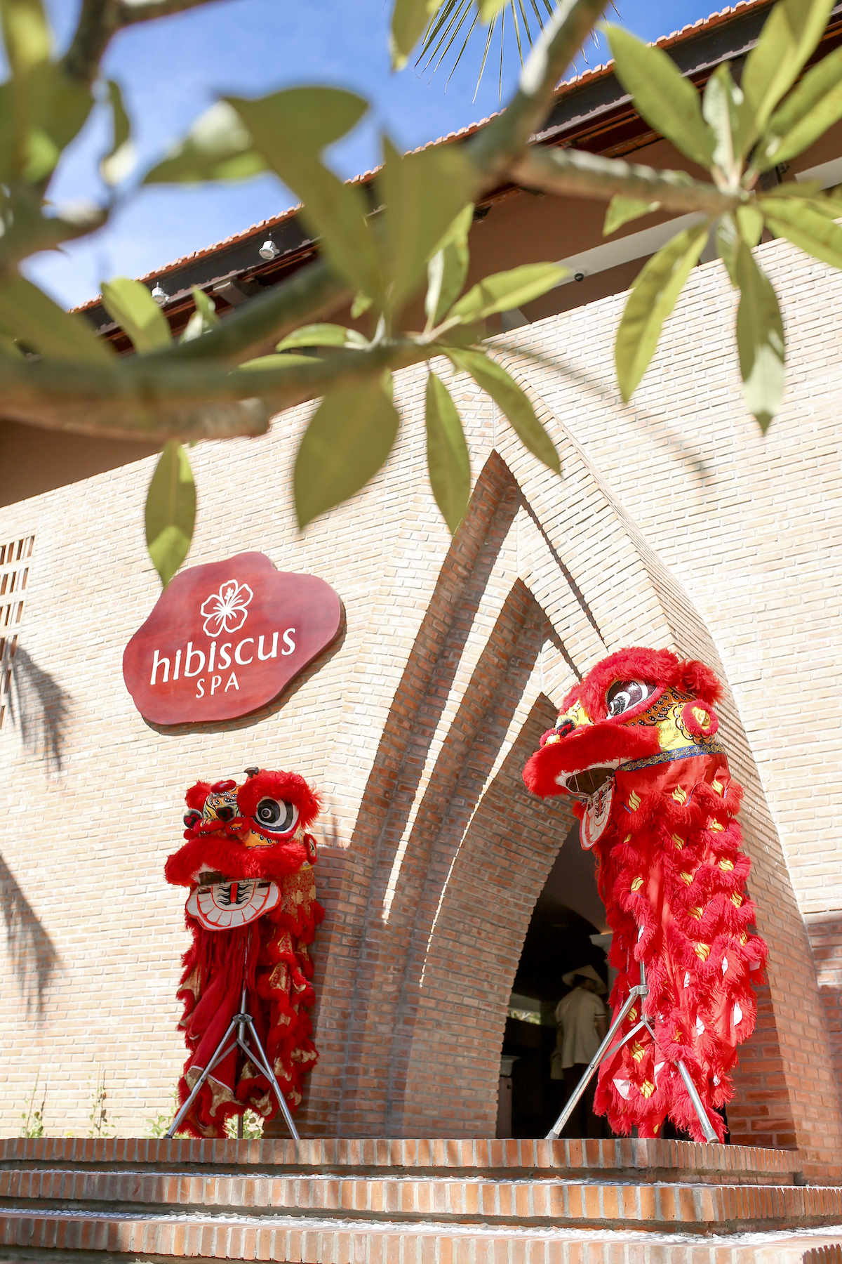 Hibiscus Spa – Hành trình đánh thức thân – tâm giữa lòng thiên nhiên ...